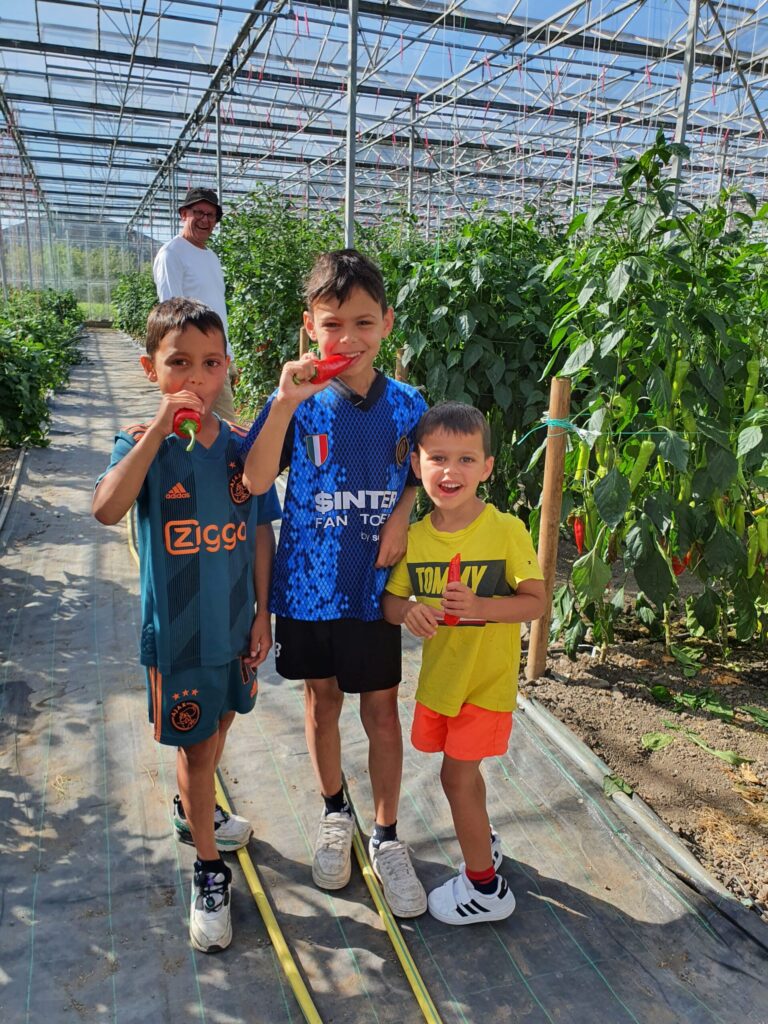 Summer message - Ergon Seed