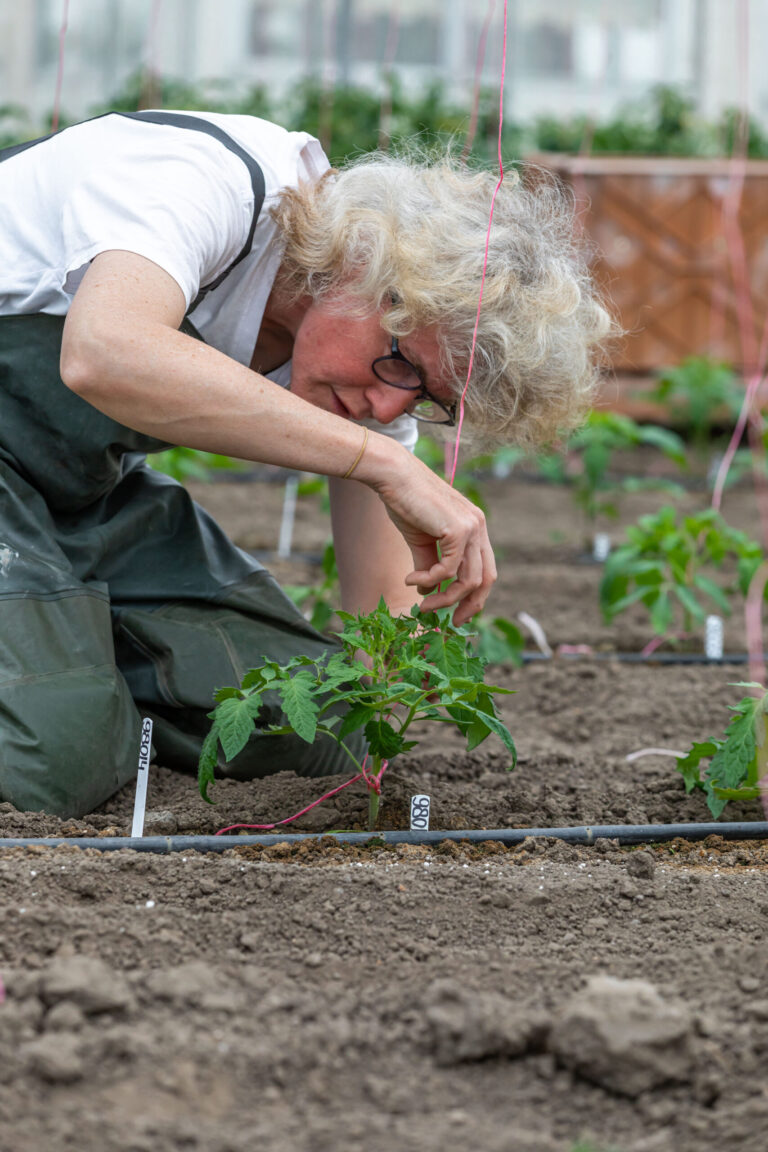 Start of our new trial season - Ergon Seed