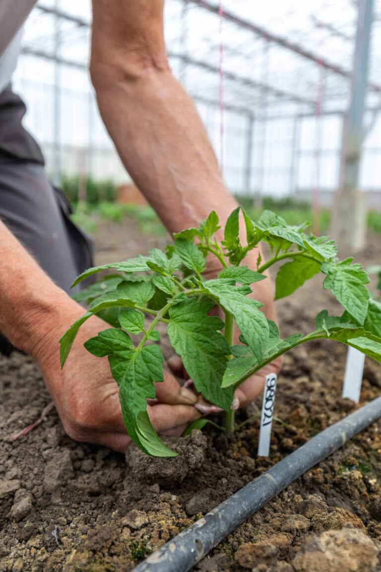 Our team - Ergon Seed