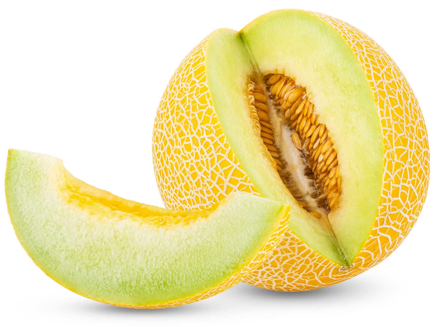 Melon – Ergon Seed